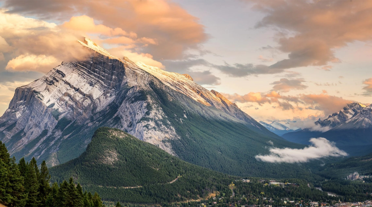 Make a Payment - ALIA | ALIA